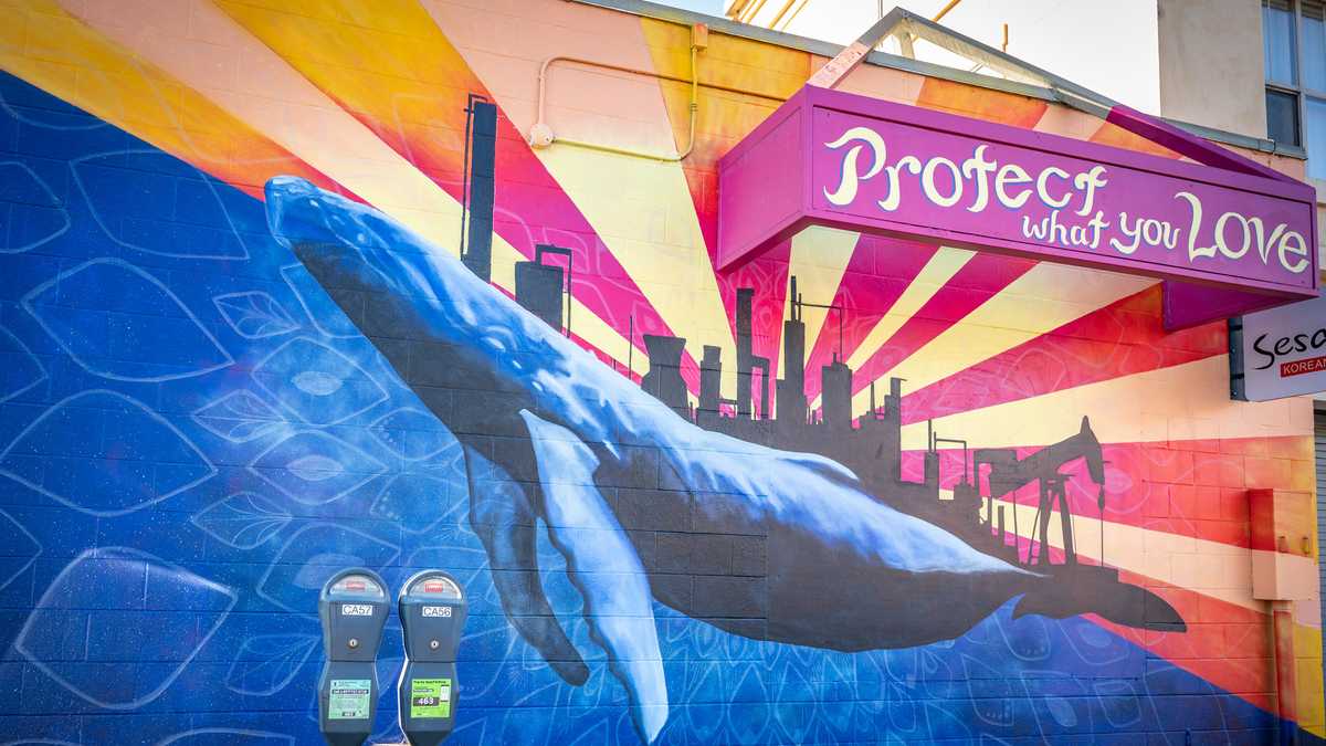Santa Cruz's newest murals: Sea Walls