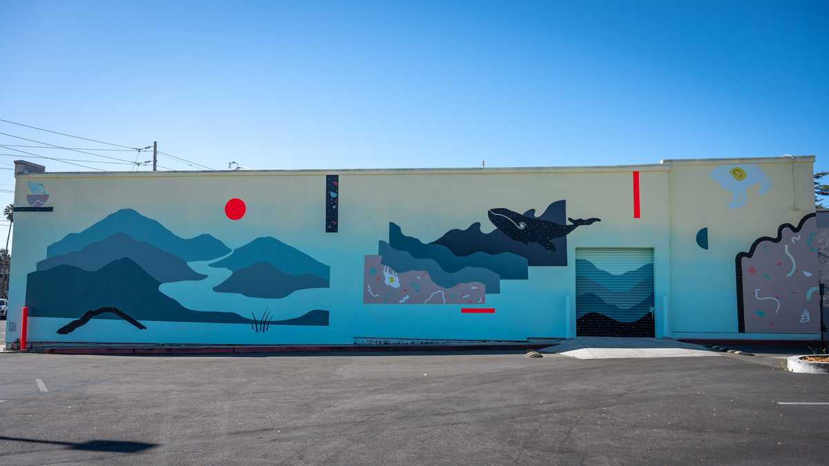 Santa Cruz's newest murals: Sea Walls