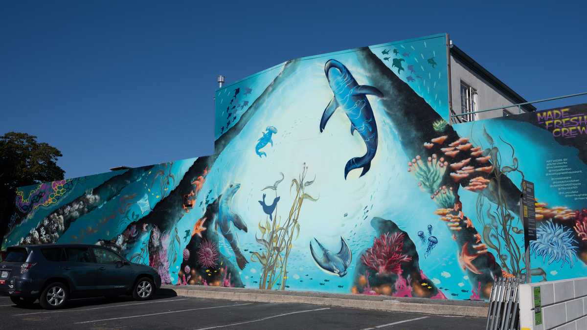 Santa Cruz's newest murals: Sea Walls