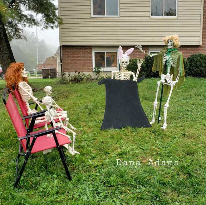 House in Hamilton creating different skeleton displays everyday this ...