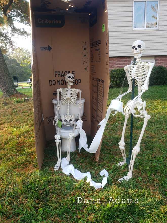 House in Hamilton creating different skeleton displays everyday this ...