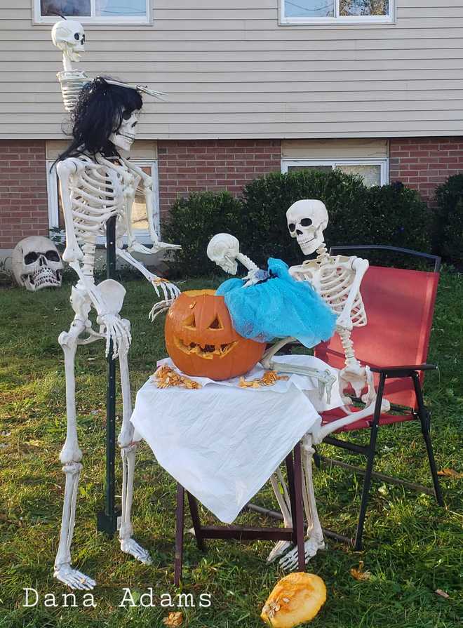 House in Hamilton creating different skeleton displays everyday this ...