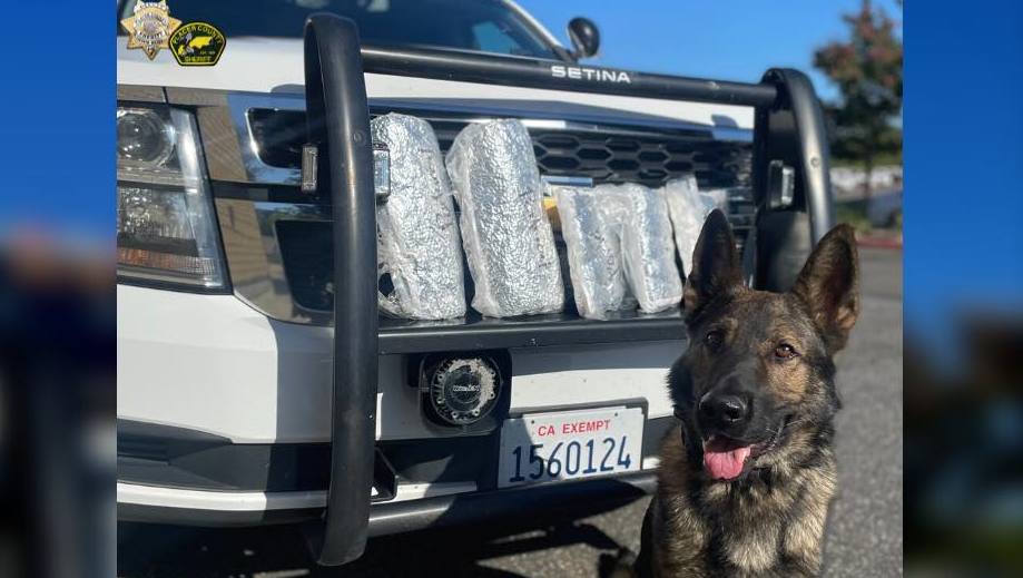 Thousands of fentanyl pills found in traffic stop in Northern California