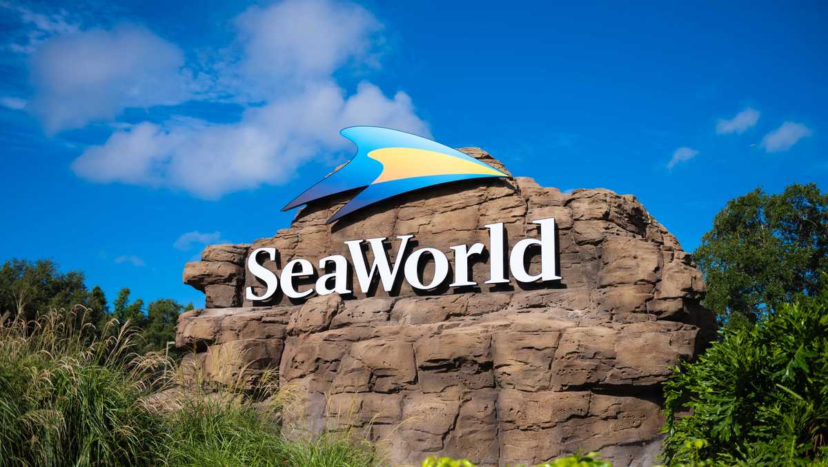 SeaWorld clearing debris from parks following Hurricane Ian