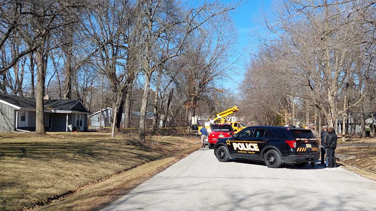 Brown Deer: Falling tree branch kills man on windy day