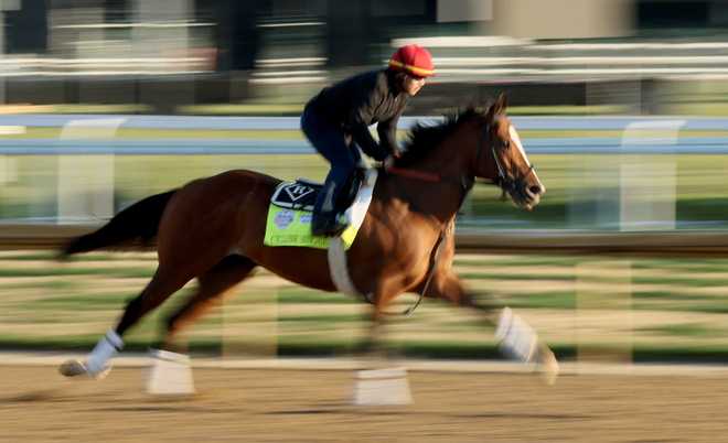 Kentucky Derby: Meet the 3 Albaugh-owned horses in this year's race