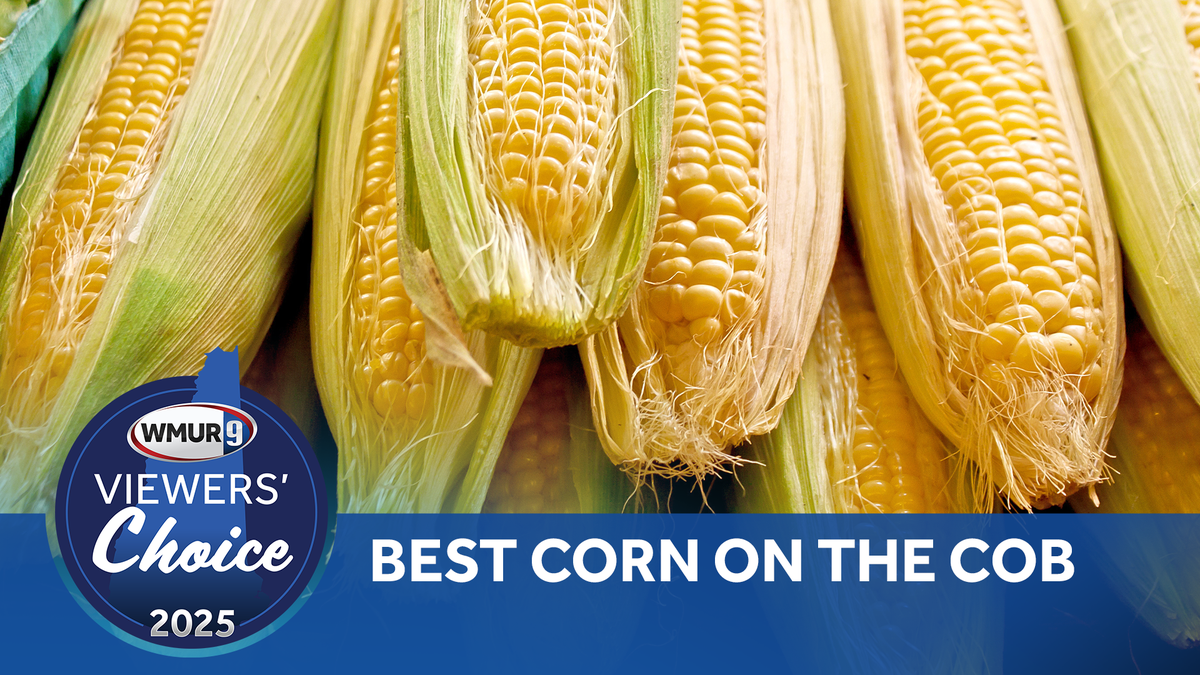 New Hampshire best corn on the cob of 2025