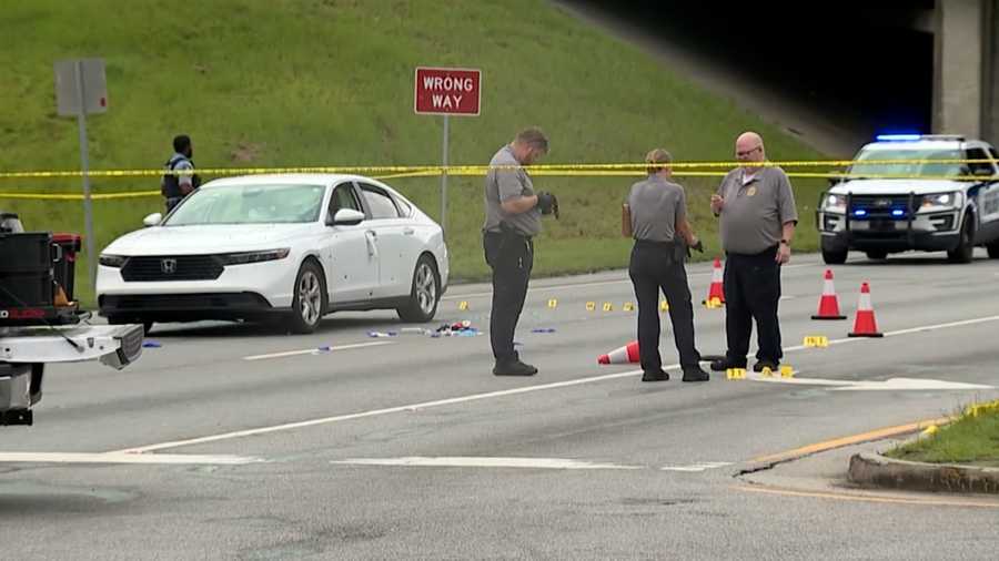 Brothers face murder charges in 2024 Highway 204 killing