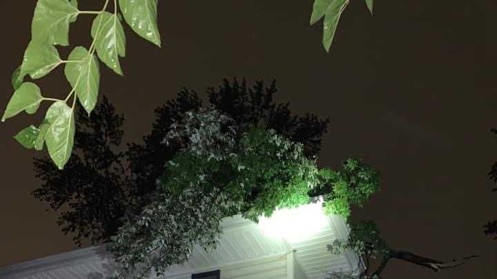 PHOTOS: Storm creates path of damage across Omaha metro