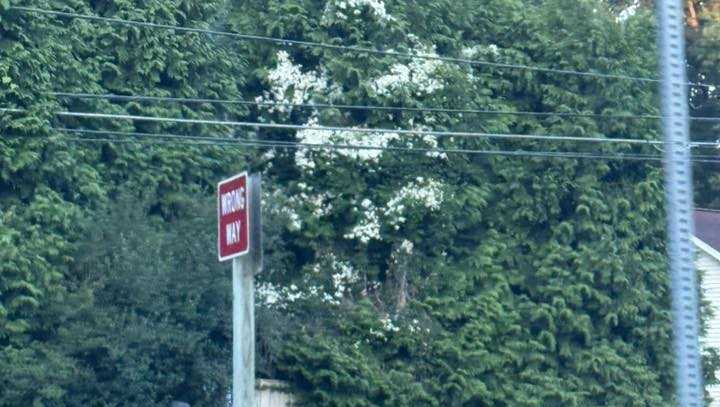 Vehicle flips onto roof in crash on Route 222 in Lancaster County, Pa.