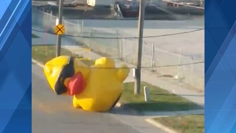 Giant inflatable duck makes 'spec-quack-ular' escape down metro street
