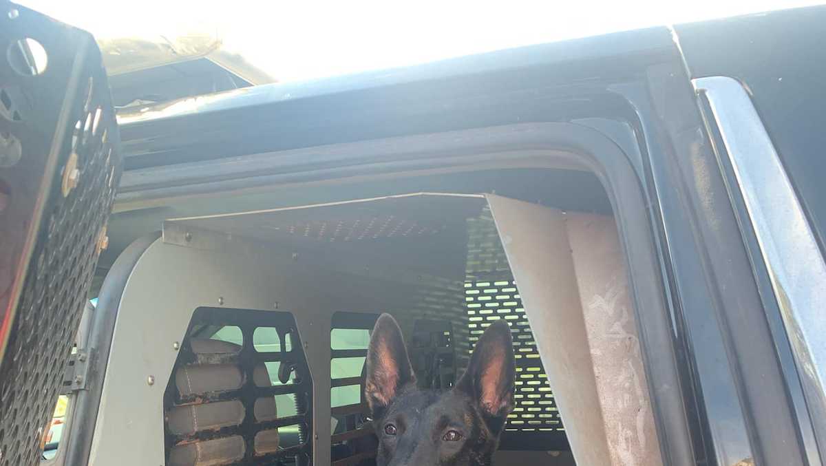 Liberty Co. Animal Control speaks about rehoming of retired K-9