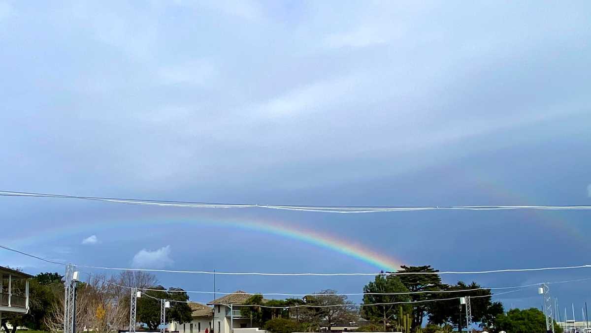 Ice Skating by the Bay closure updates