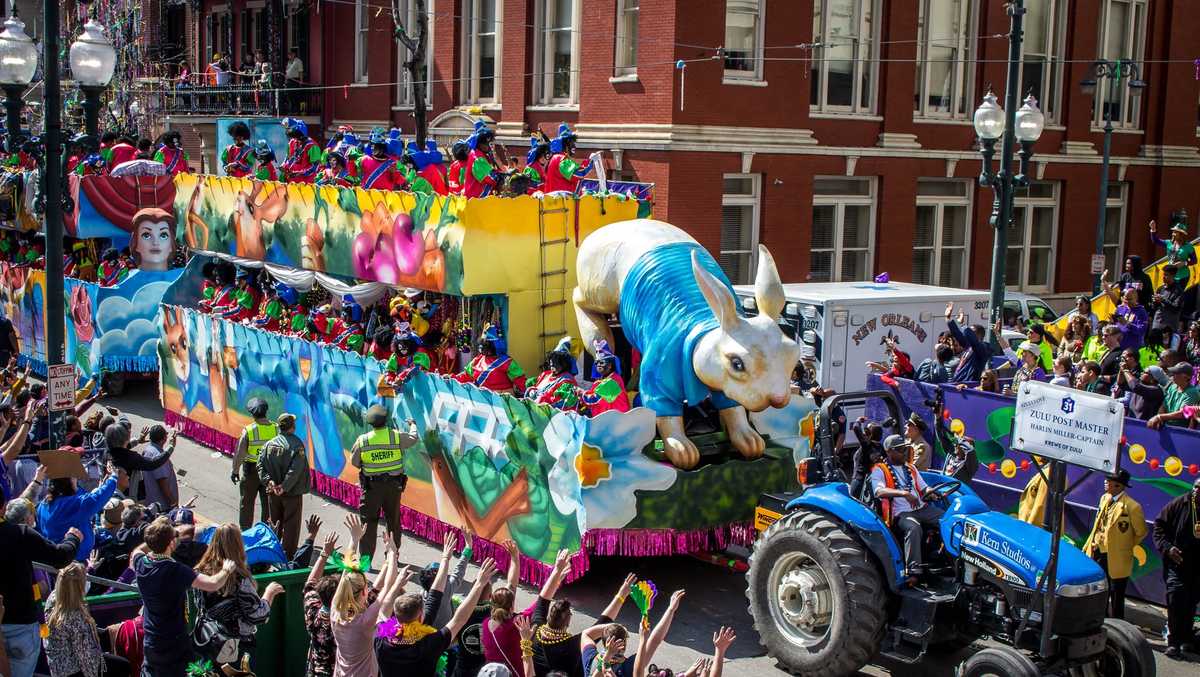 Our 15 Favorite Photos from Fat Tuesday