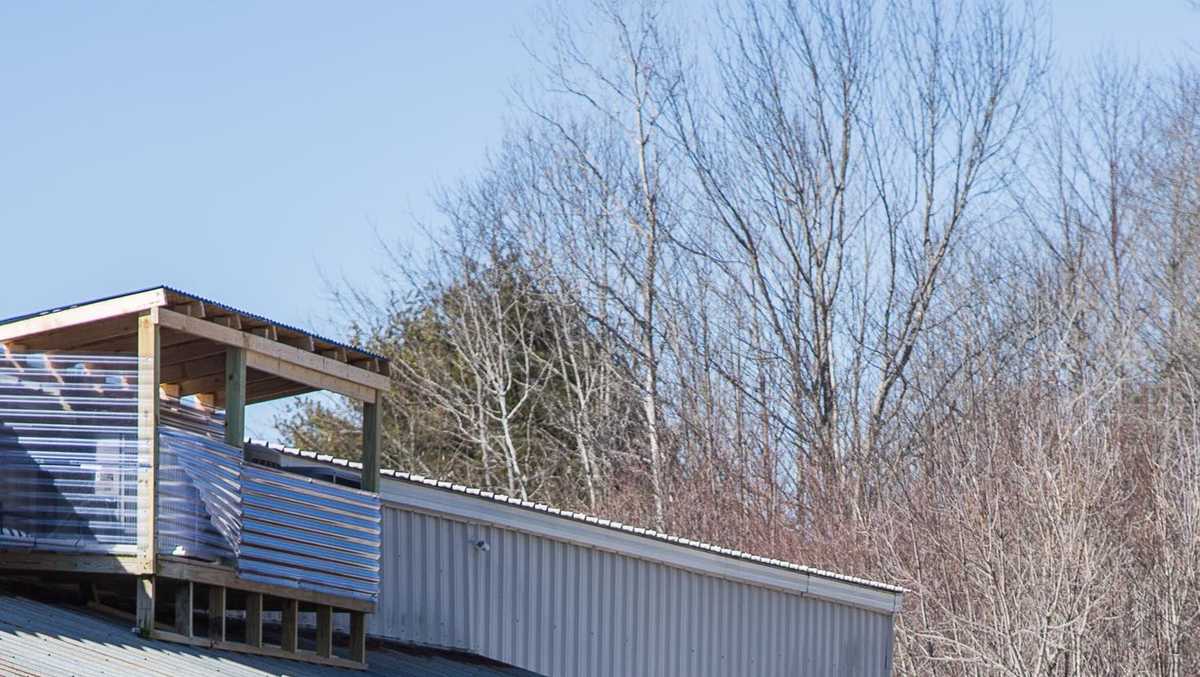 Police raids net nearly 300 pounds of marijuana, 2 arrested