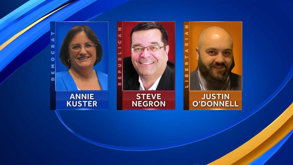 2018 race for seat representing 2nd Congressional District of New Hampshire