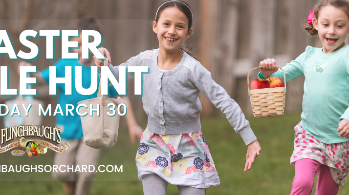Easter Apple Hunt at Flinchbaugh's Farm in York County, Pa.