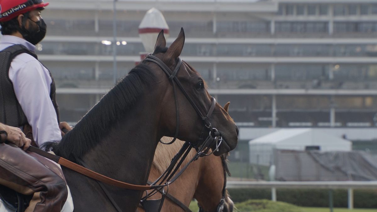 PHOTOS: Meet the horses racing in the 146th Kentucky Oaks