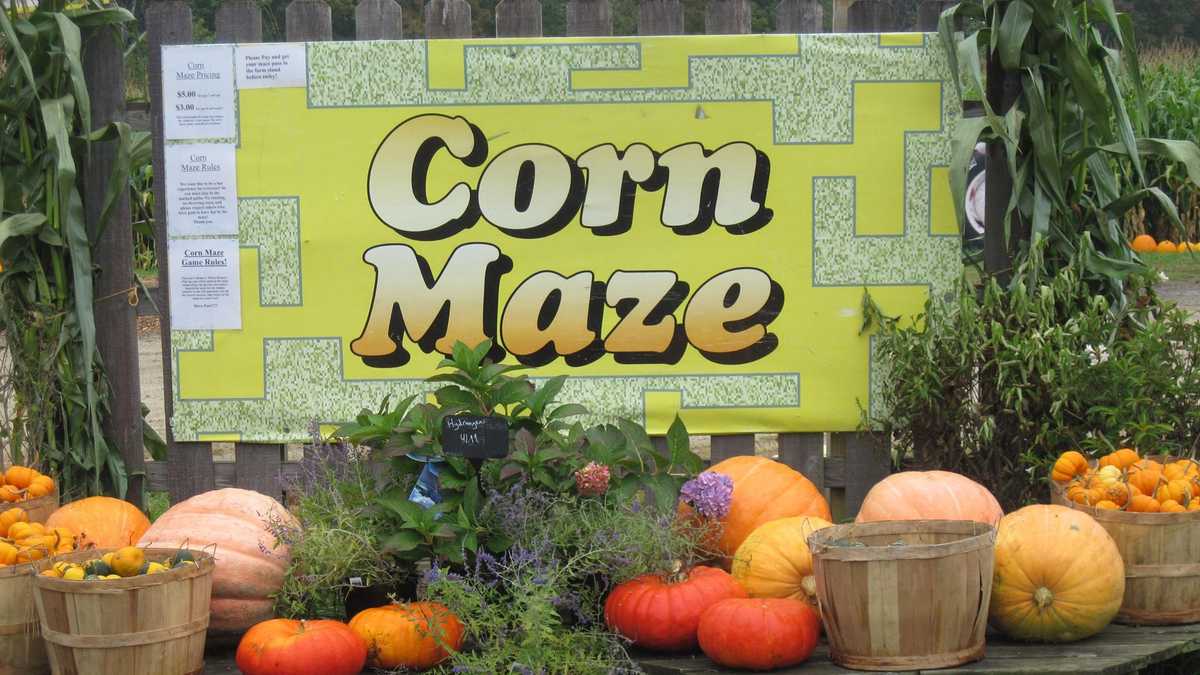 Viewers' Choice 2016: Best corn maze in New Hampshire