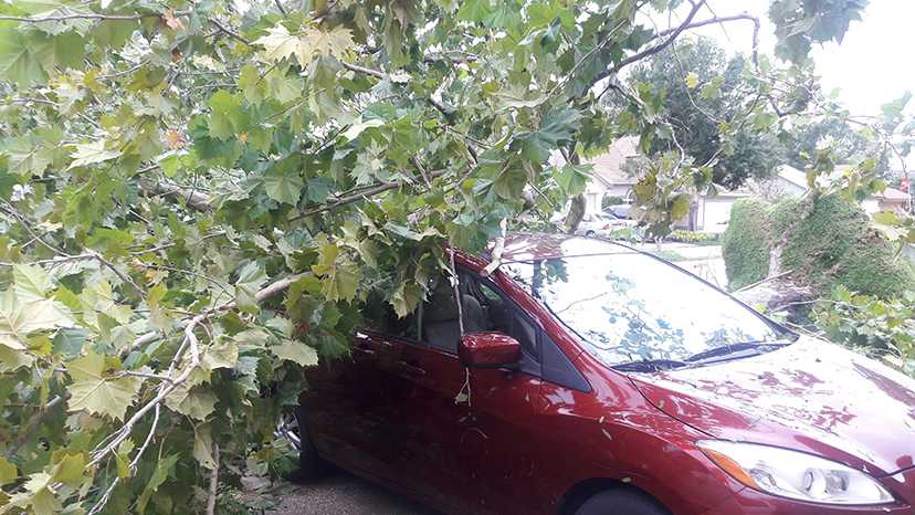 Central Florida viewers capture incredible photos of Hurricane Irma ...