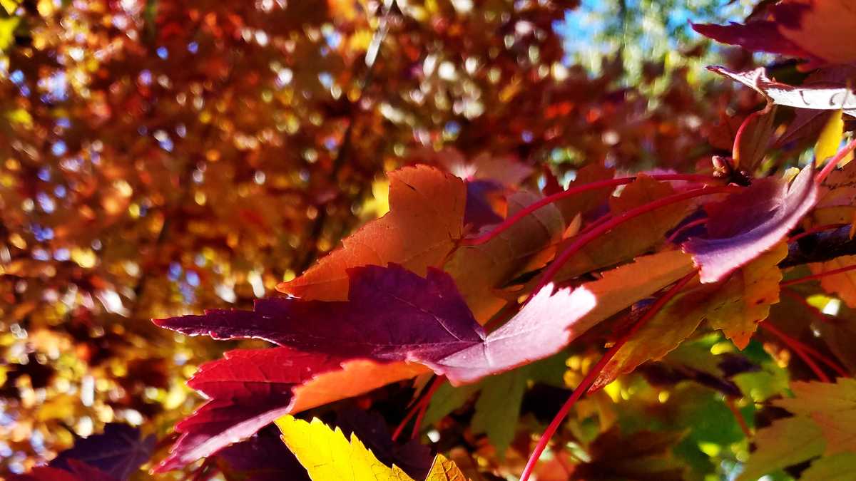17 breathtaking photos of autumn to get you ready for sweater season