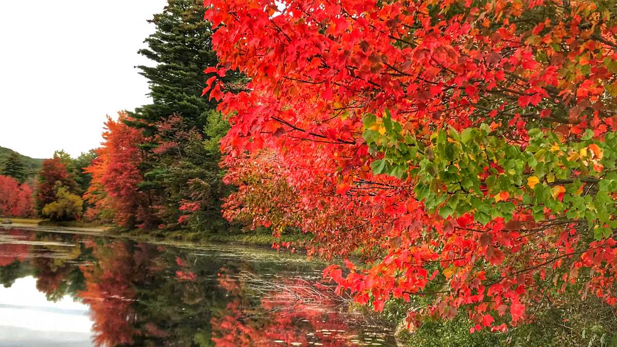 17 breathtaking photos of autumn to get you ready for sweater season