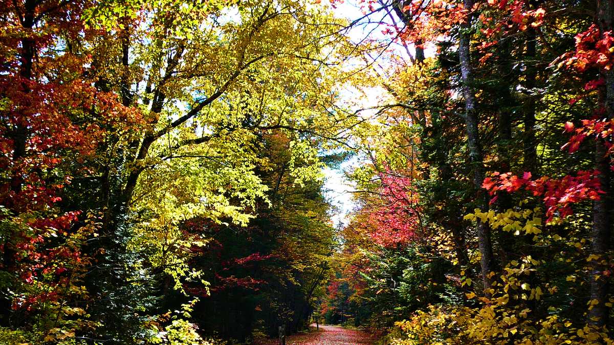 17 breathtaking photos of autumn to get you ready for sweater season