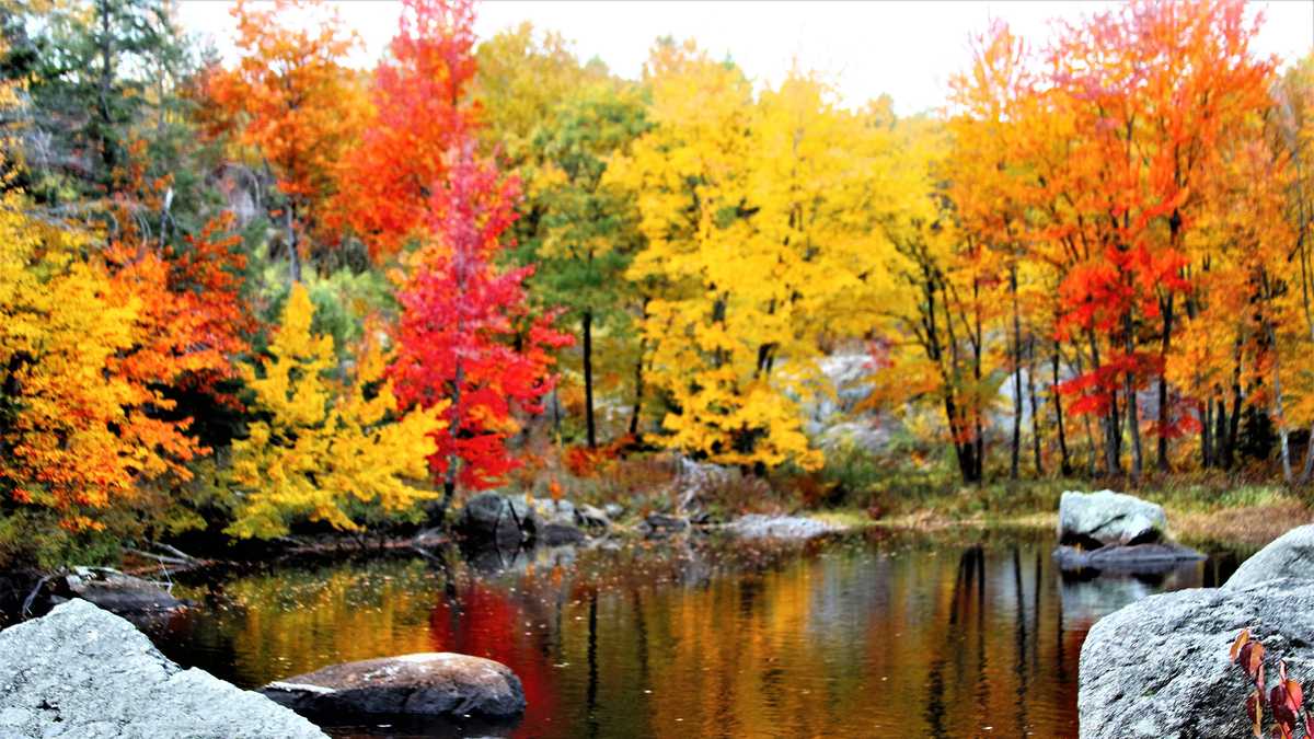 17 breathtaking photos of autumn to get you ready for sweater season