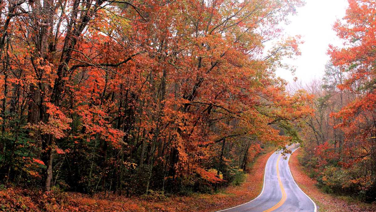 17 breathtaking photos of autumn to get you ready for sweater season