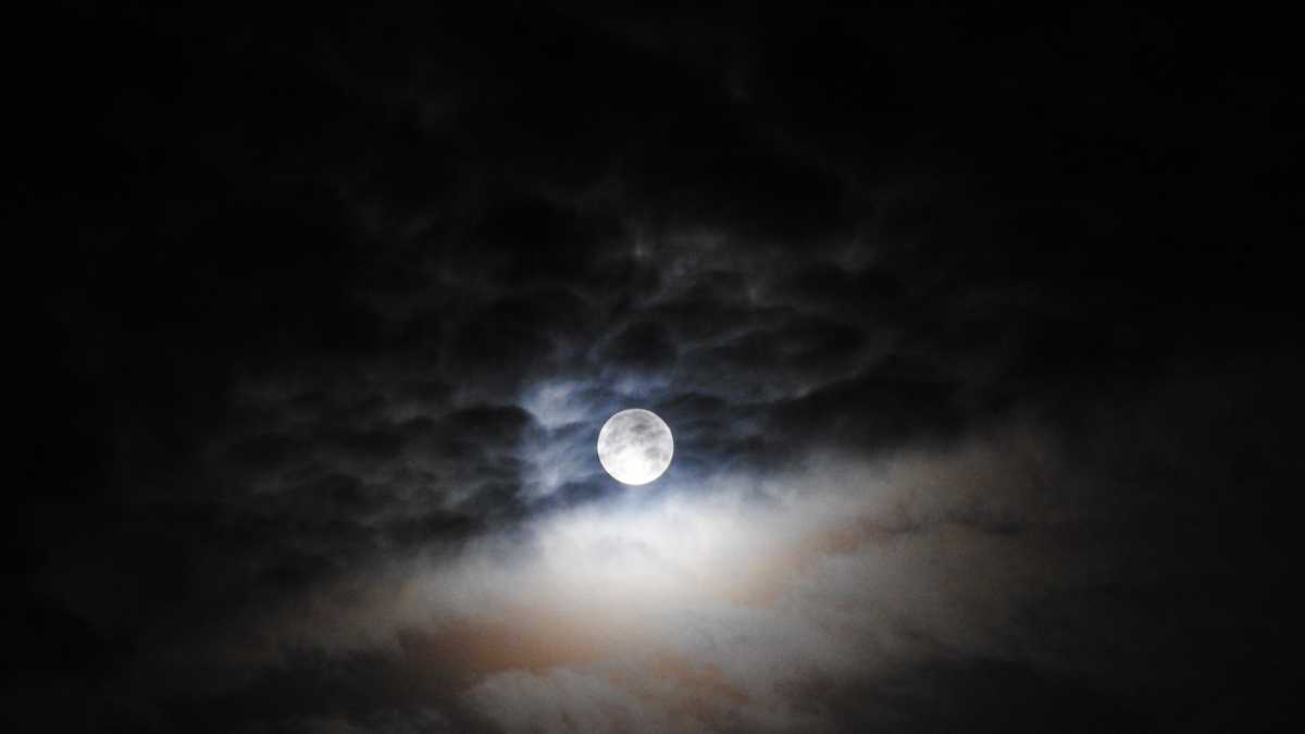 16 Photos of the Super Blue Blood Moon in case you missed it this morning