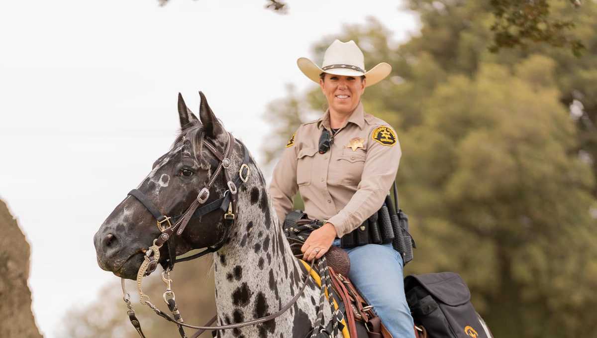 Iconic Monterey County Sheriff's horse dies