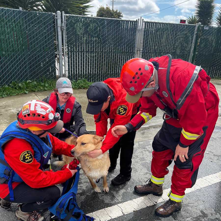 Gallery: Crews rescue kids, pets in Pajaro as flood waters rise