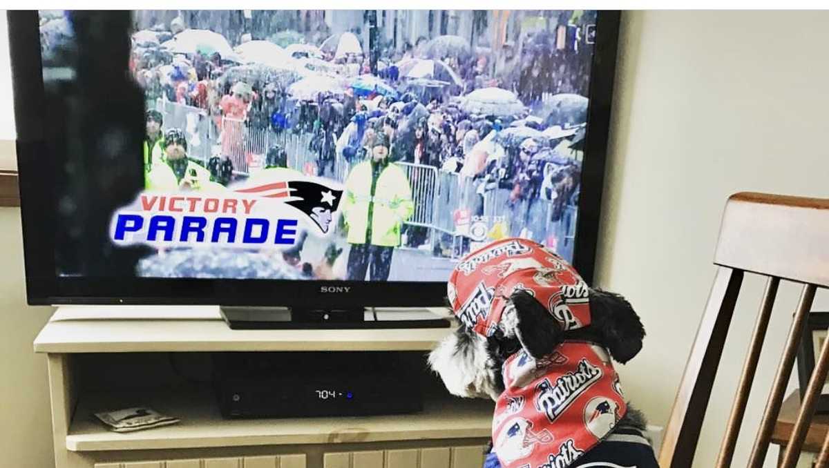 It's almost game time! Share your Super Bowl moments with MyNBC5