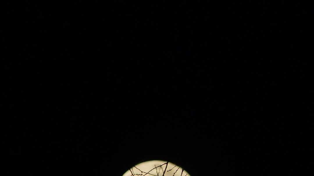 9 amazing photos of Super Snow Moon captured by viewers
