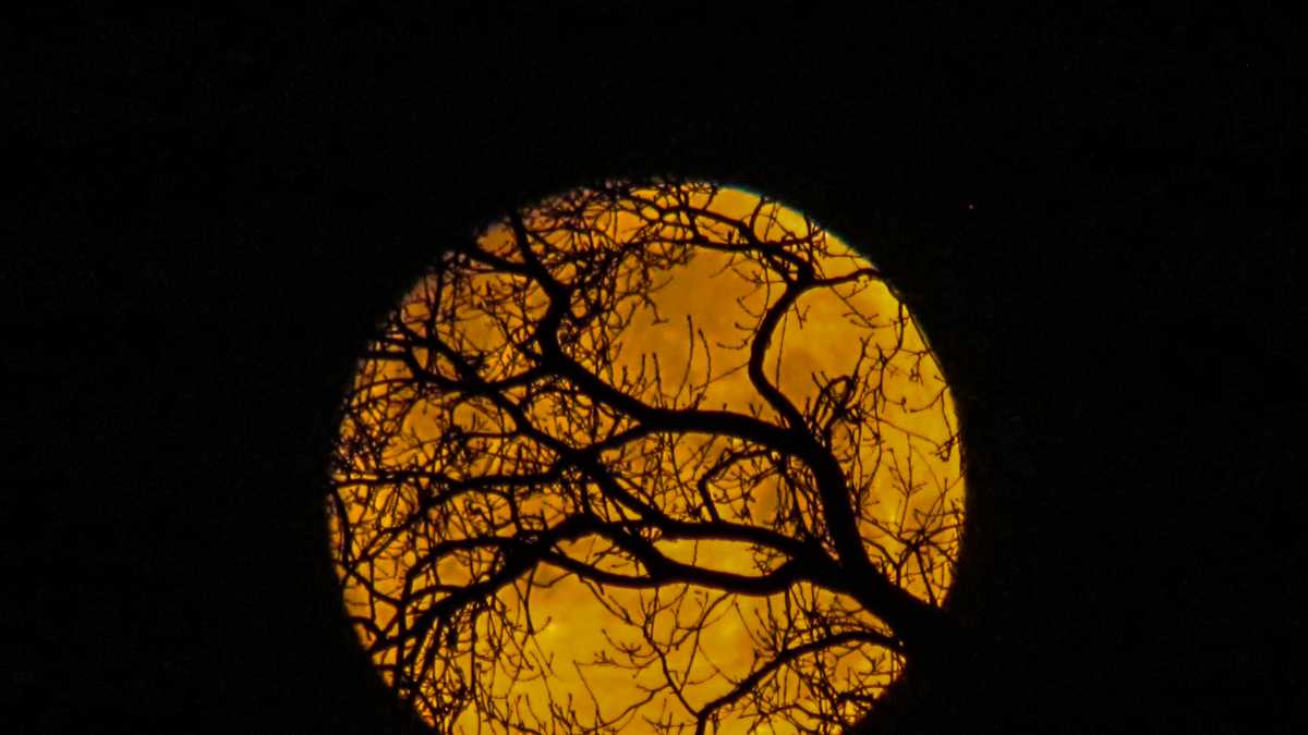 9 amazing photos of Super Snow Moon captured by viewers