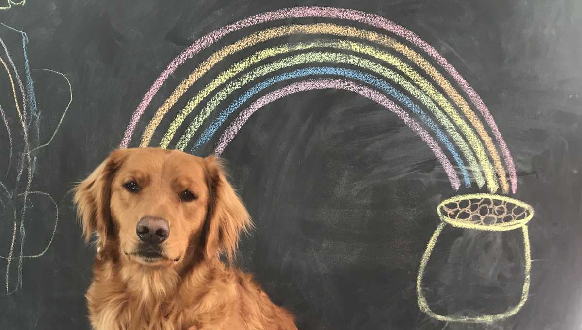 9 breathtaking rainbows in honor of 'Find a Rainbow Day'