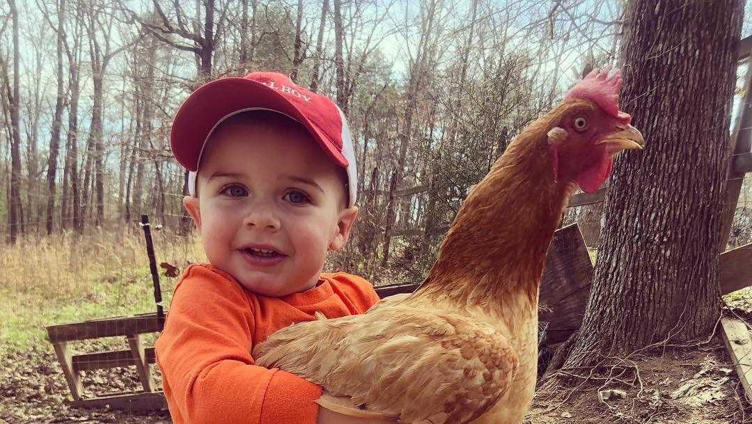 9 moments chickens made the cutest pets