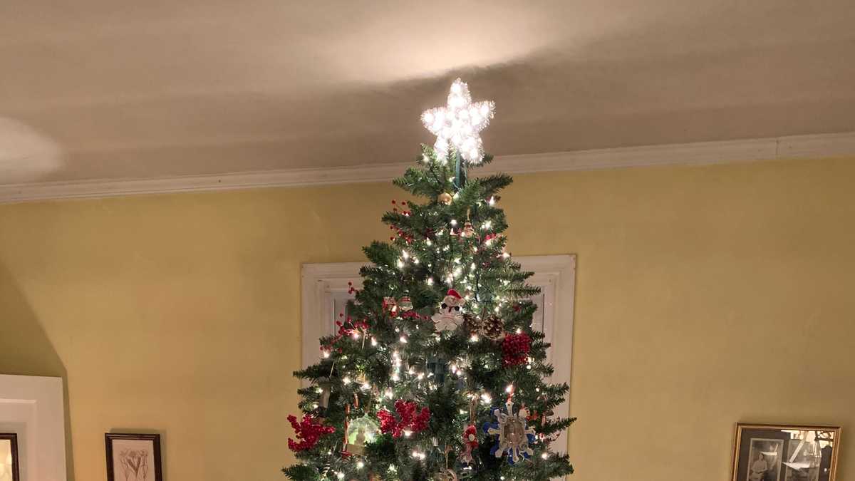 Maryland Christmas trees 2020 in photos