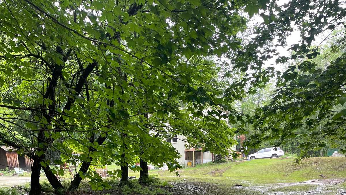 Flooding damage in Andover