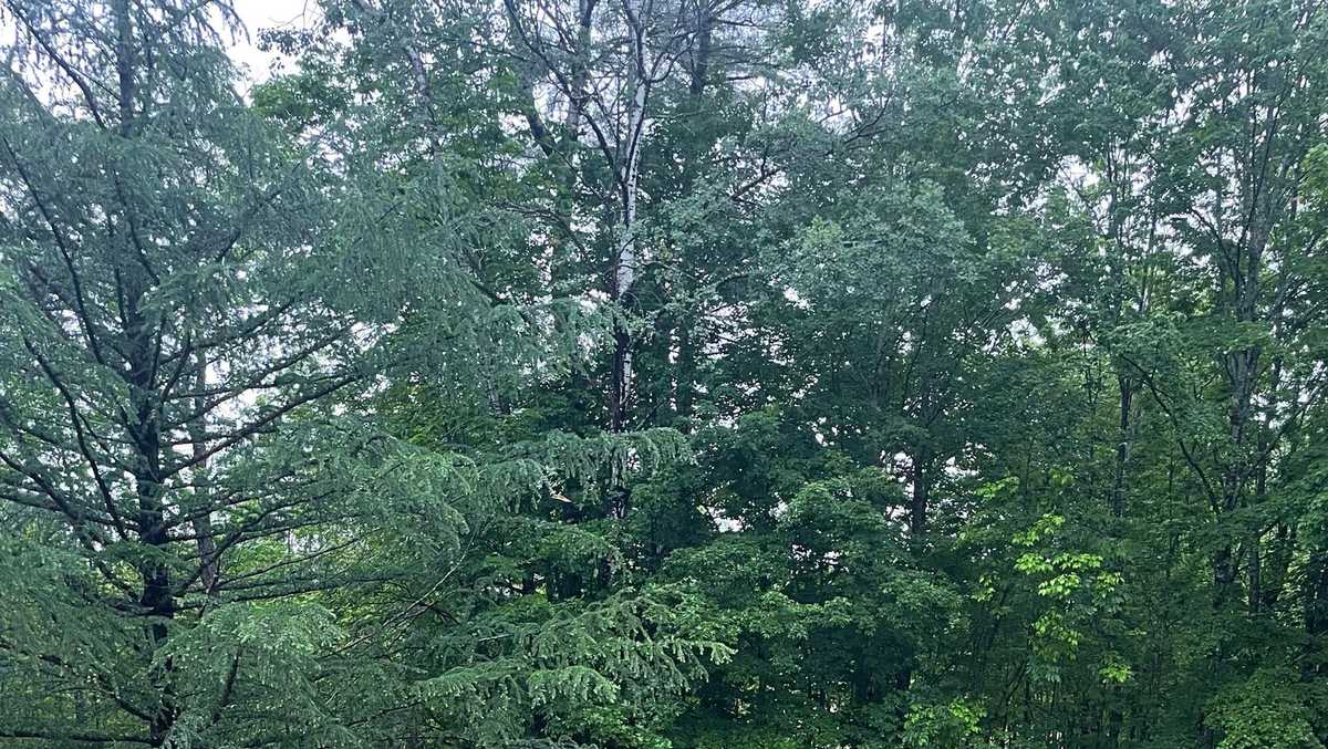 Flooding damage in Andover