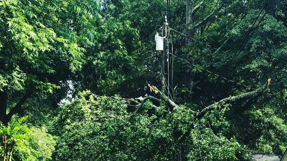 Afternoon storm brings downed trees, flash flooding