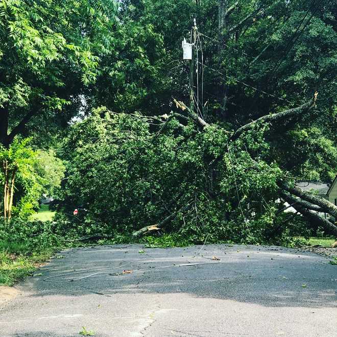 Afternoon storm brings downed trees, flash flooding