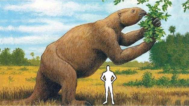 20-foot-tall sloth once called the Savannah area home