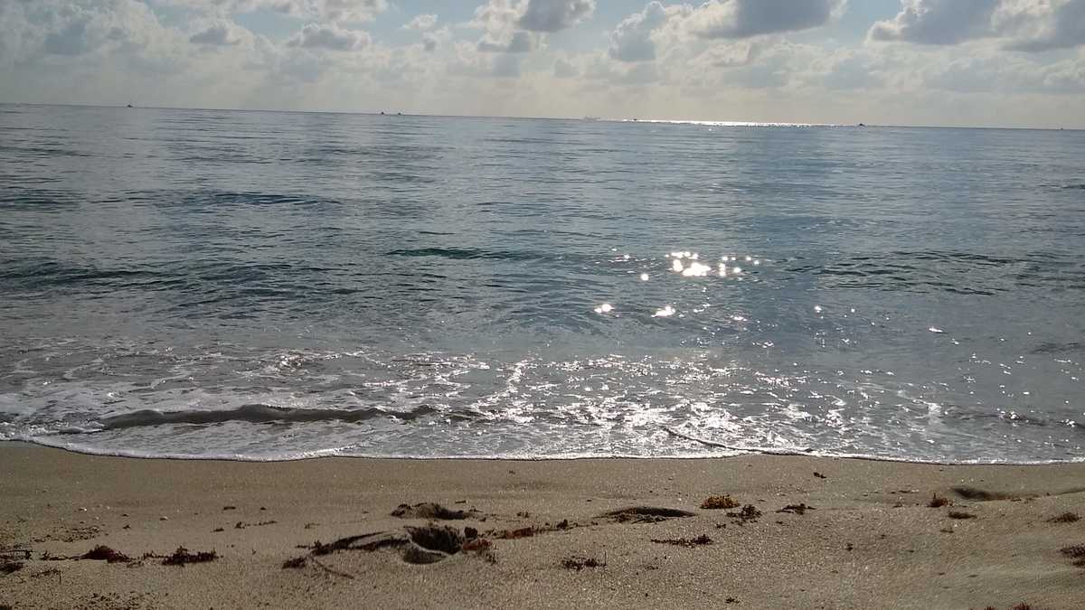 Florida's weather forecast for the week ahead