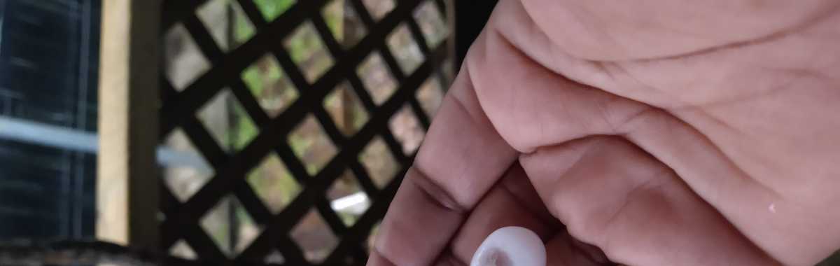 16 WAPT viewers share hail photos