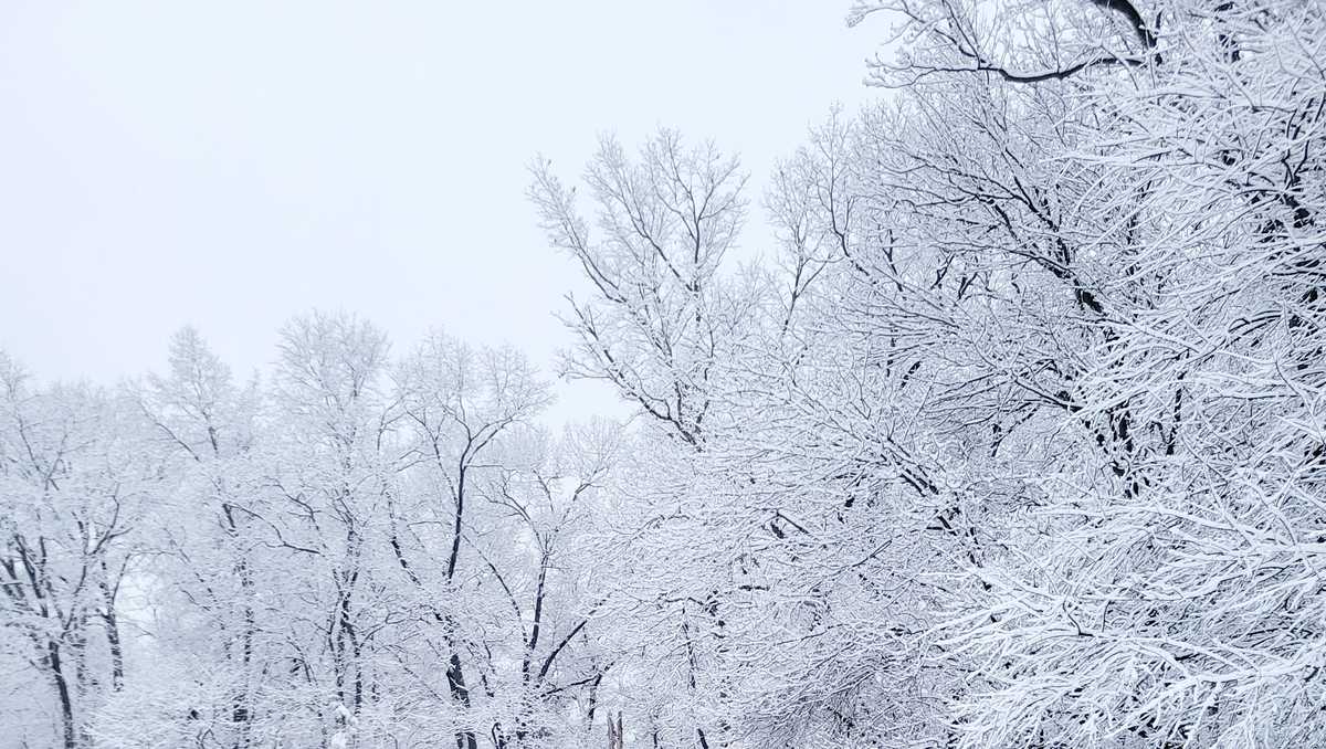 Snow totals across Maryland for Feb. 17, 2024