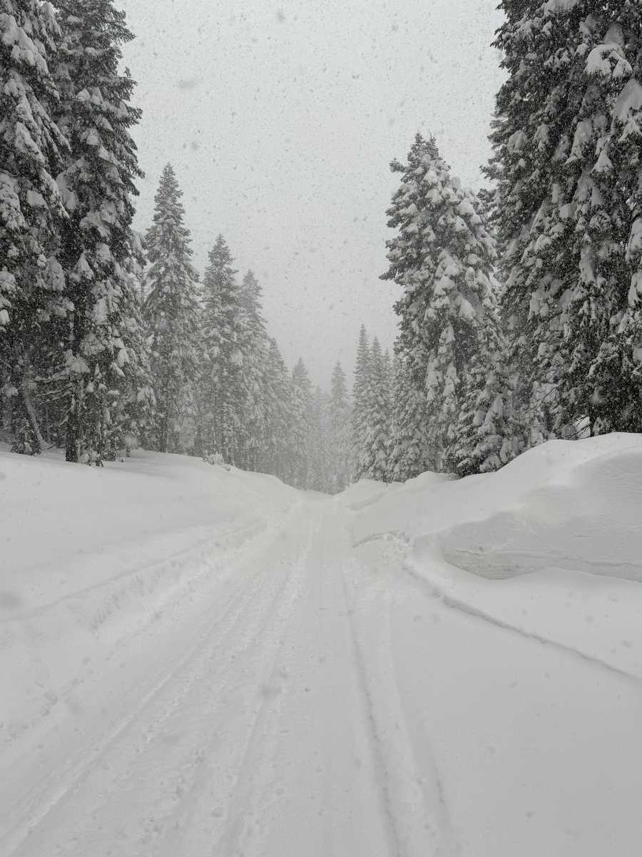 PHOTOS: Weekend snowstorm blankets the Sierra