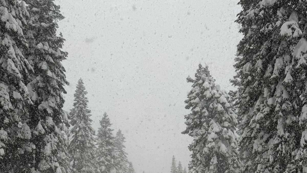PHOTOS: Weekend snowstorm blankets the Sierra