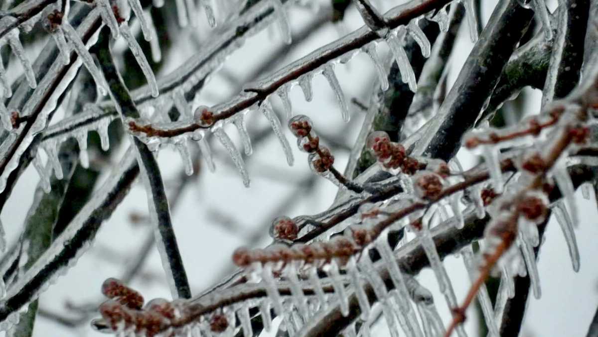 Iowa weather: Foggy conditions arrive in central Iowa