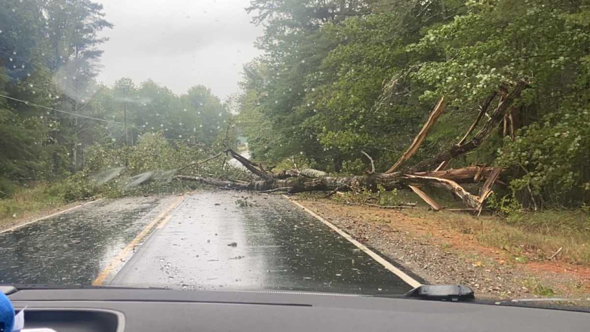 Lee's strong winds bring road closures, topple trees in Maine